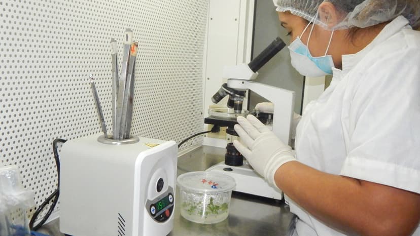 Galiltec - In-Vitro Plants & Innovative Agro Technology